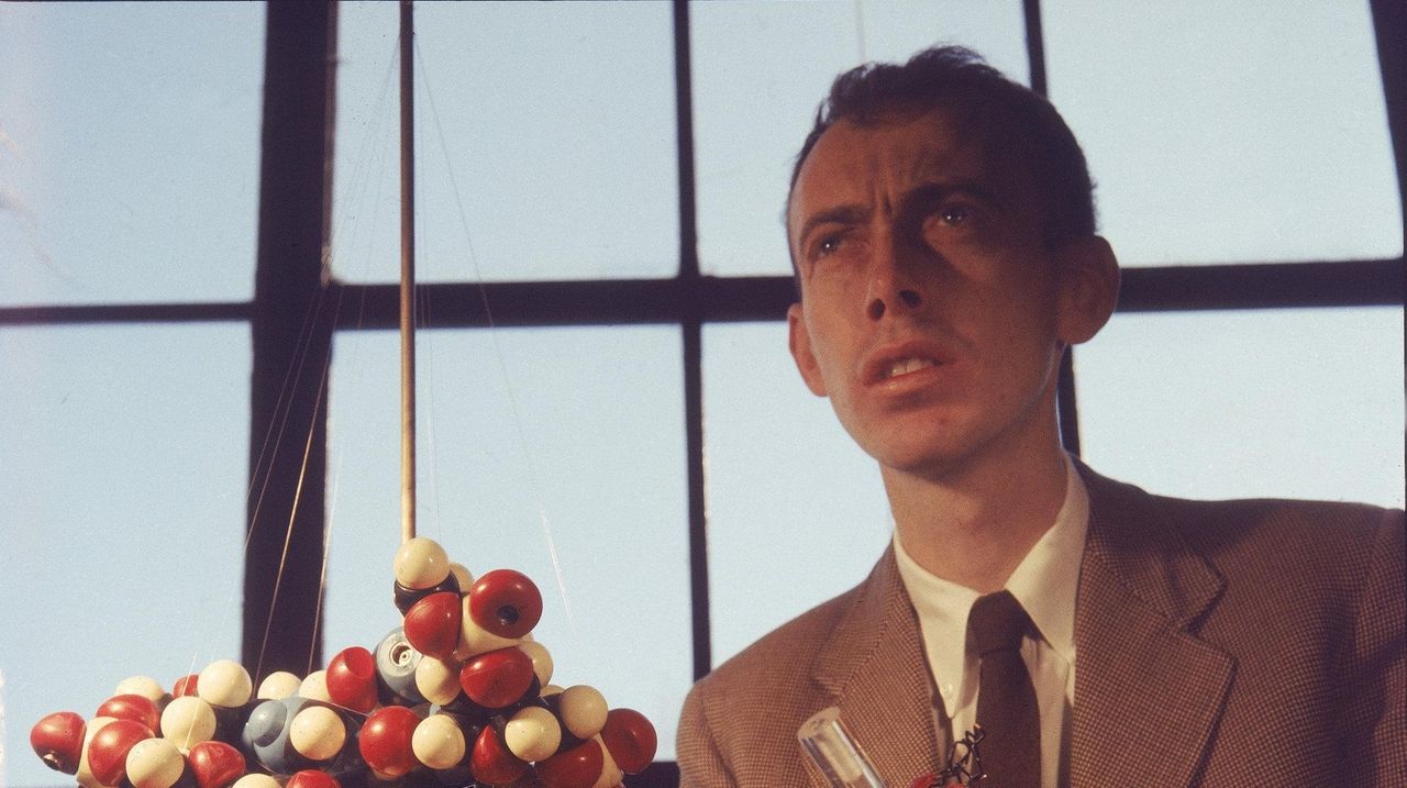 'Decoding Watson' review: Fair, but ultimately damning look at ...