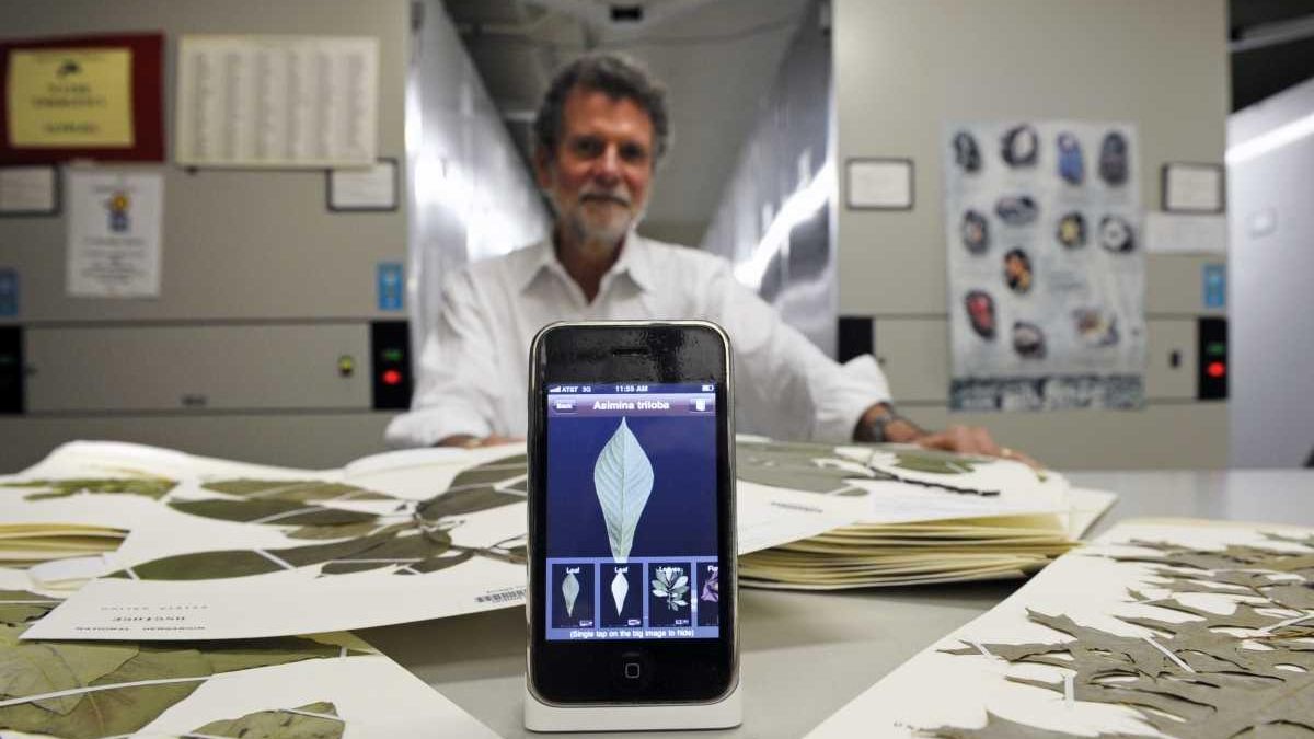 Smithsonian mobile app helps users ID trees - Newsday