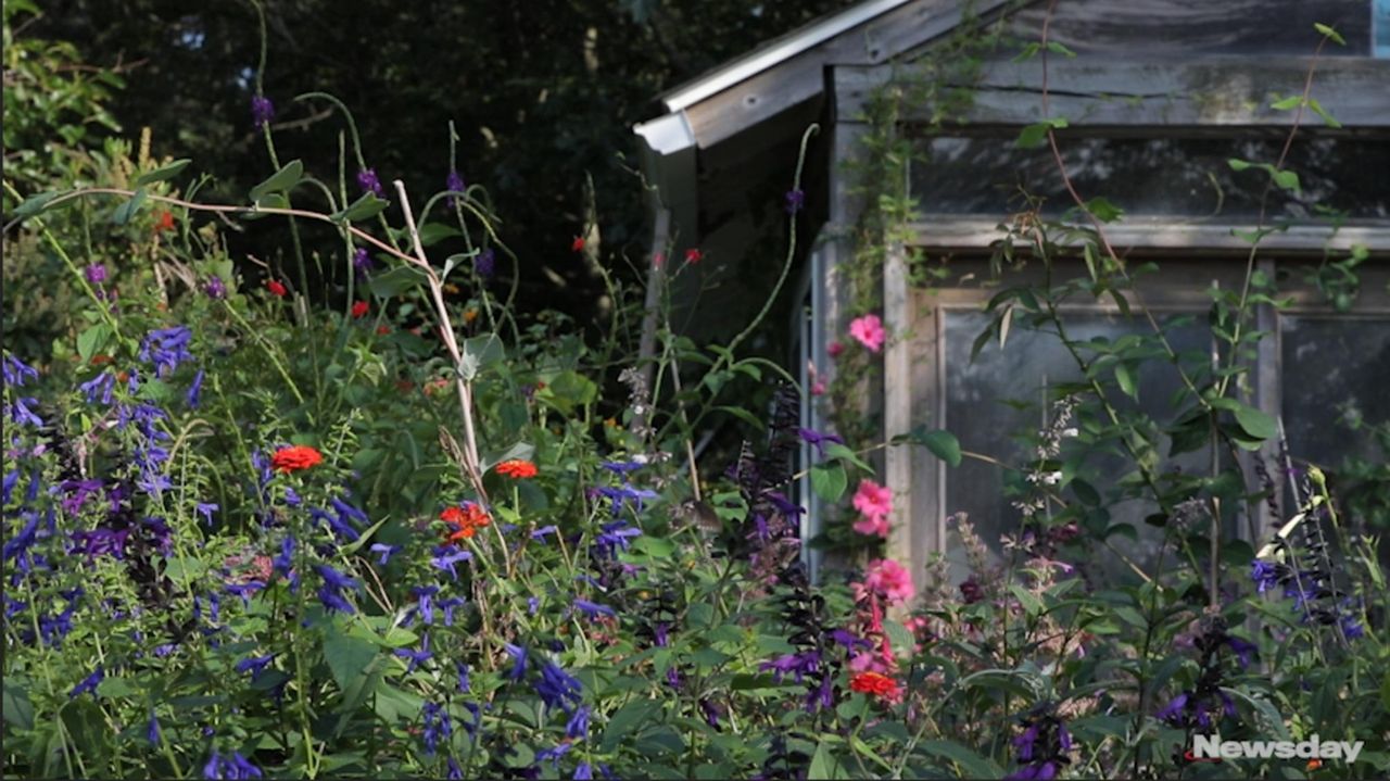 Long Island hummingbird sanctuary set to close its doors - Newsday