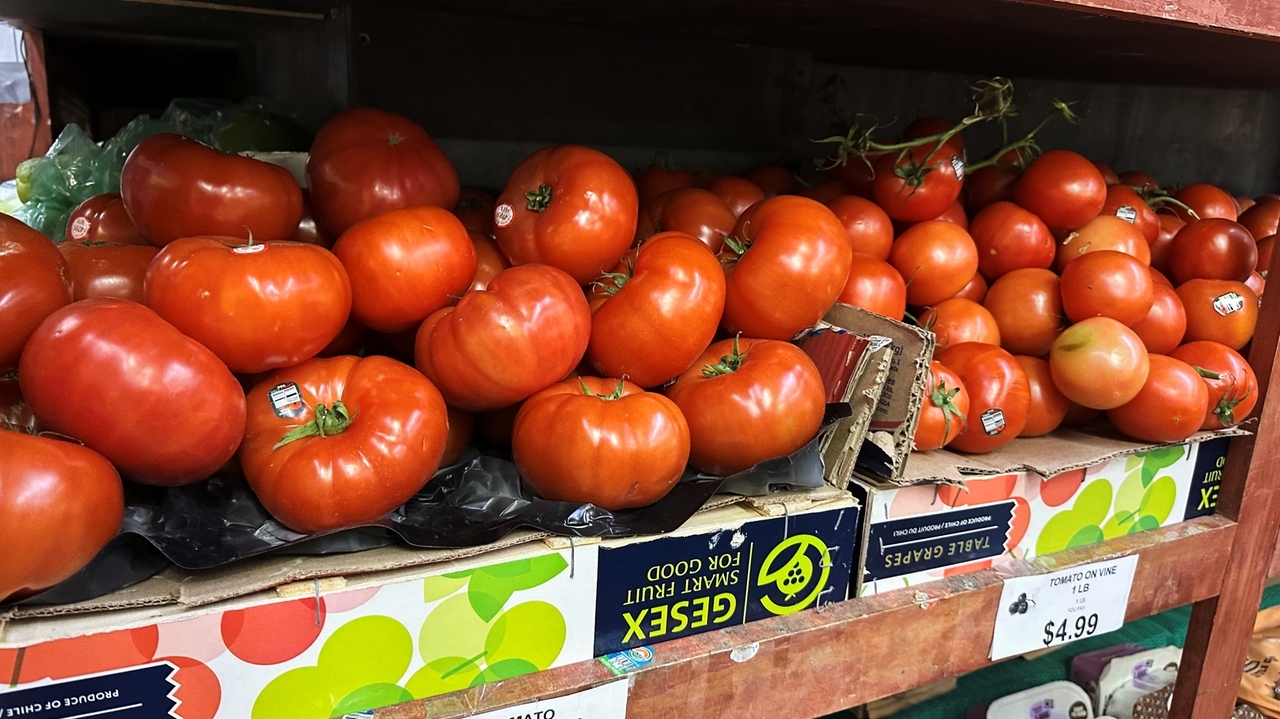 Tomatoes become latest symbol of America's affordability squeeze - Newsday
