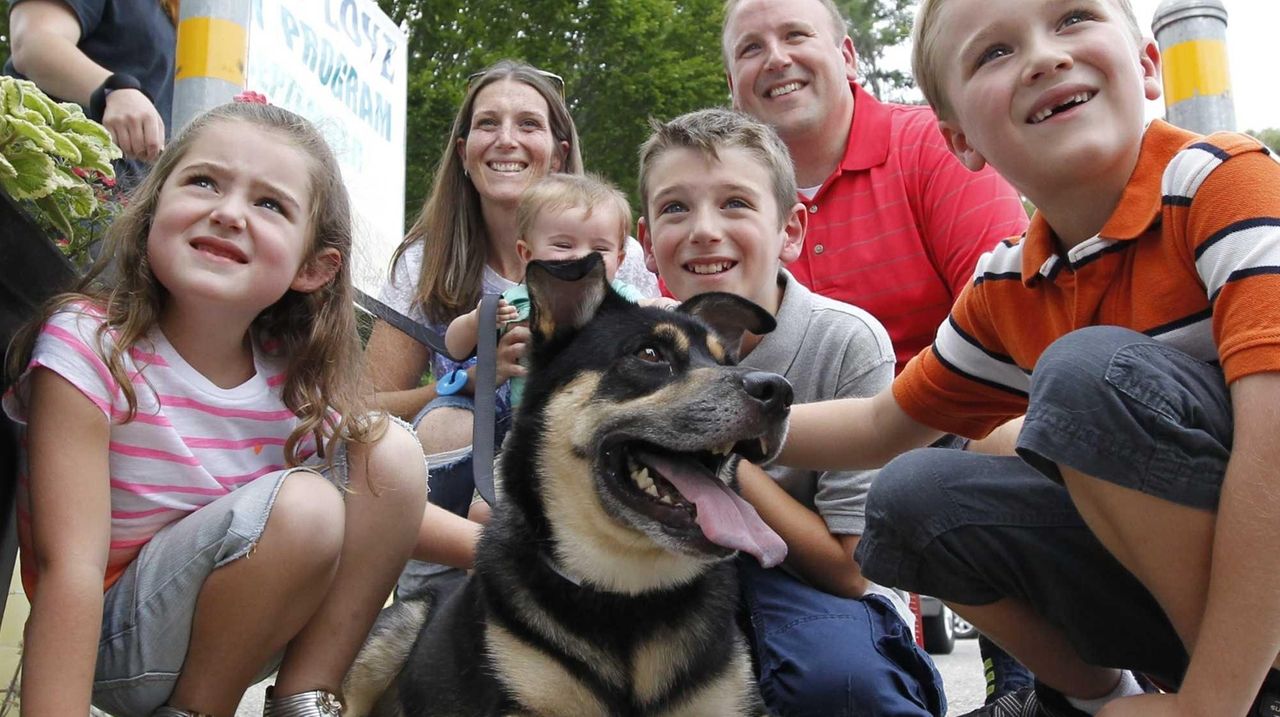 Abandoned German shepherd mix finds new home with the help of Nassau ...