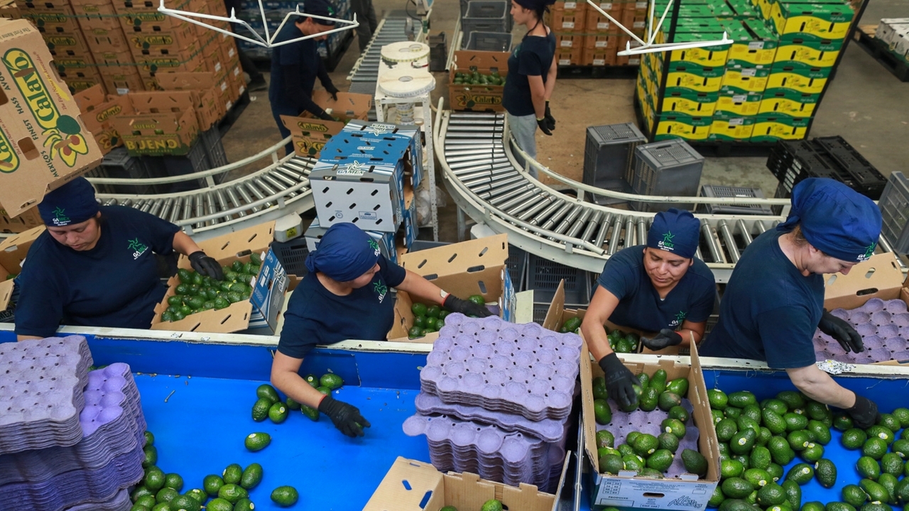 Small Business Owners Brace For Trump S Proposed Tariffs Newsday