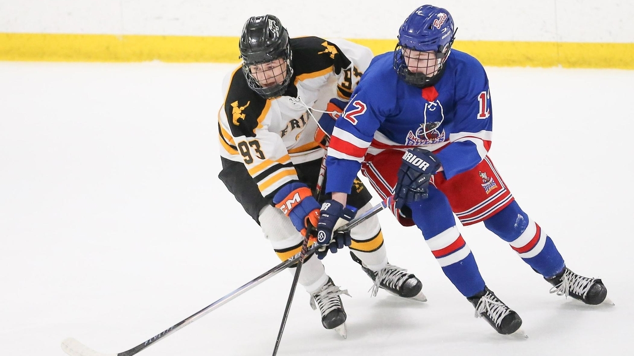 Suffolk finals Game 2: Smithtown/Hauppauge vs. St. Anthony's - Newsday