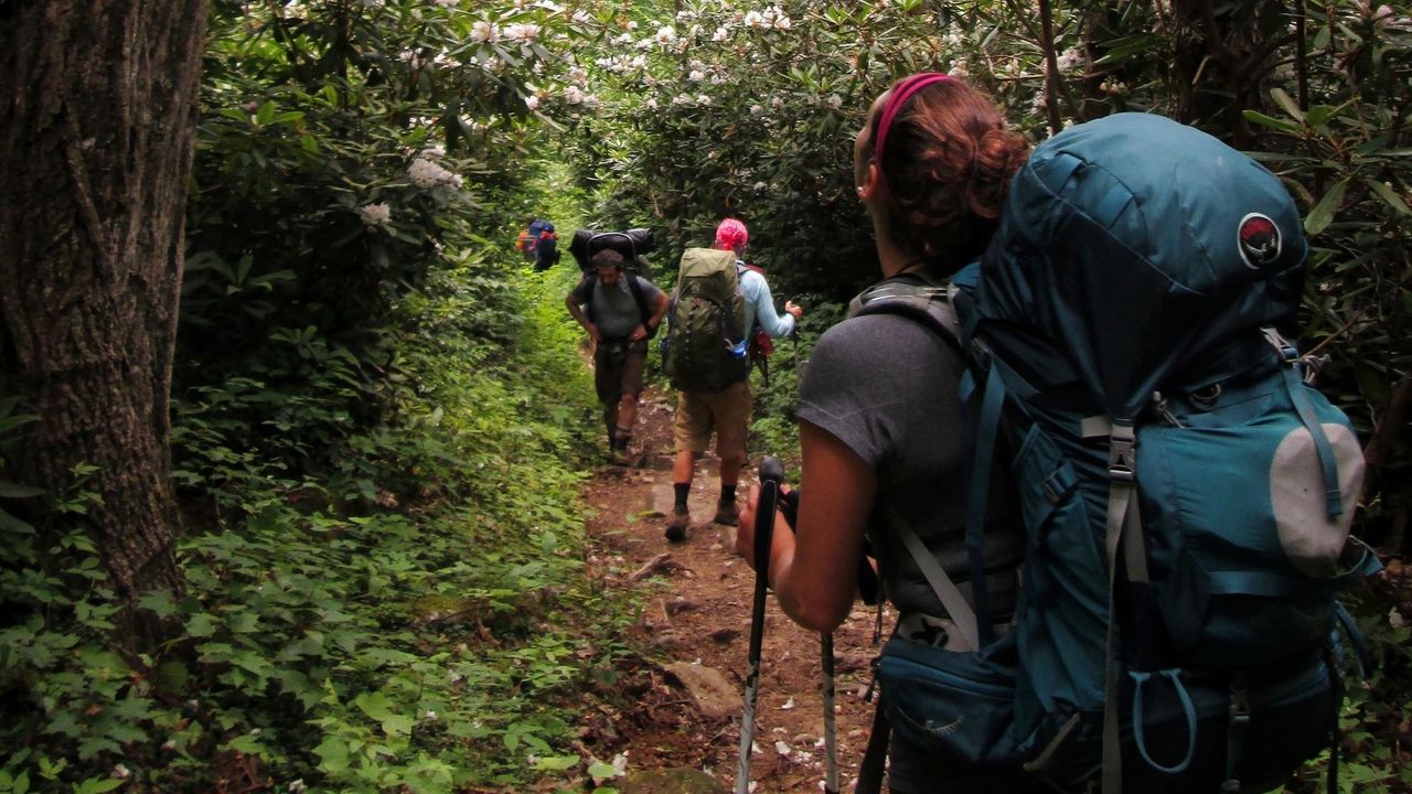 Hiking the Appalachian Trail: What to know - Newsday