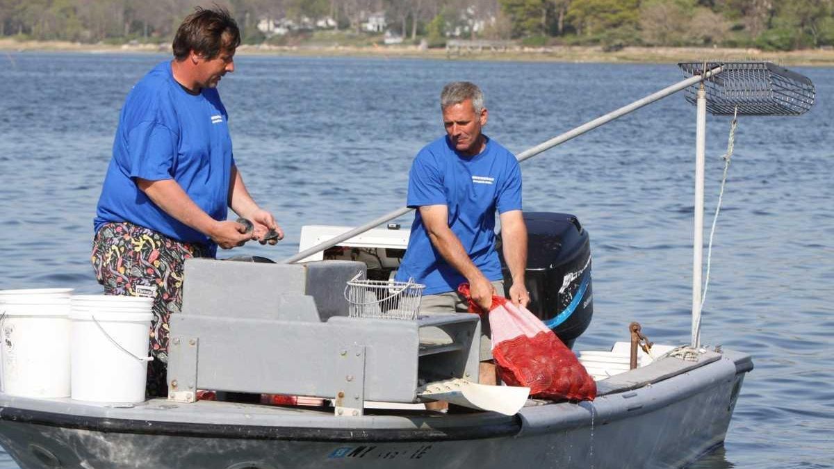 Baymen, shellfish firm battle in Oyster Bay - Newsday