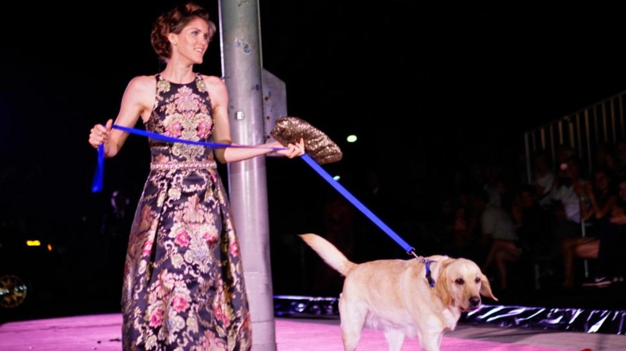Ward Melville senior finds perfect prom ‘date’ -- her dog - Newsday