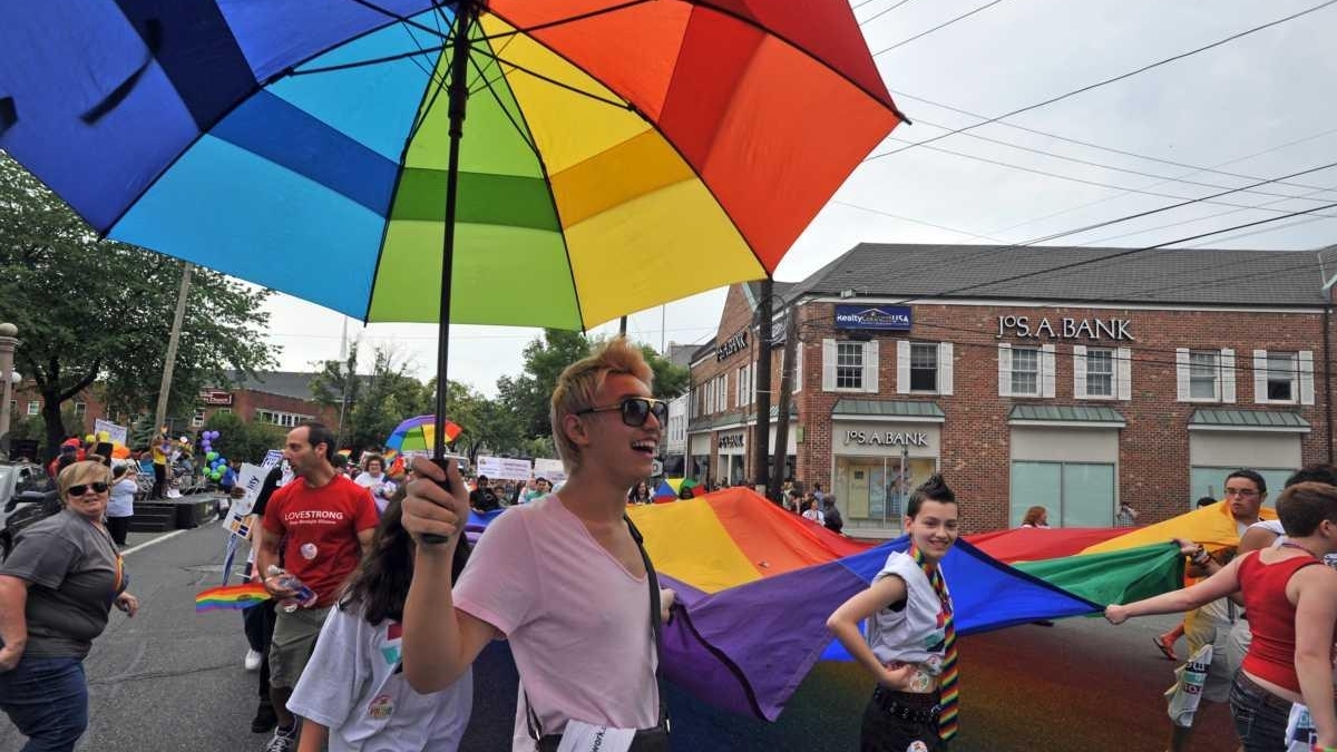 The evolution of gay pride - Newsday