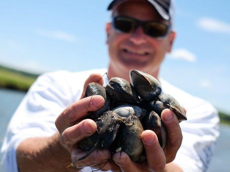 Clamming tips for LI: Where and how to dig the tasty shellfish - Newsday