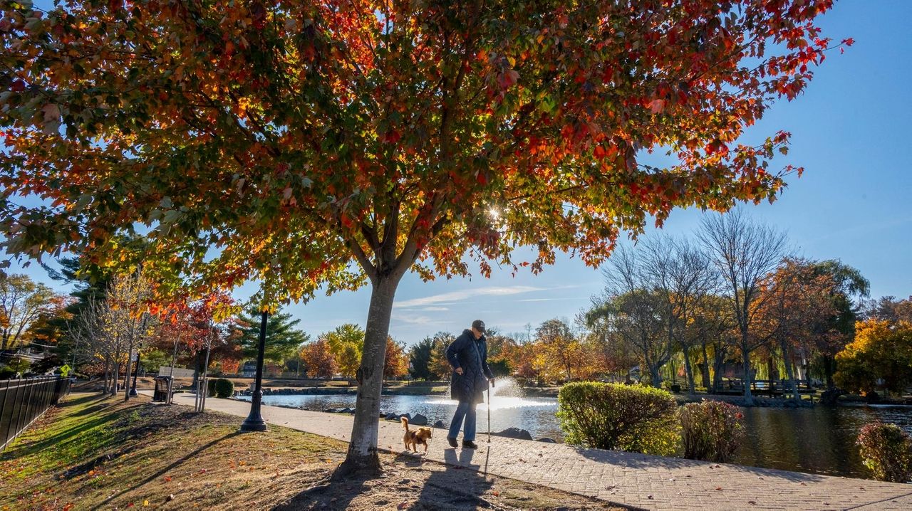 Afternoon sunshine, above-average temperatures for Election Day - Newsday