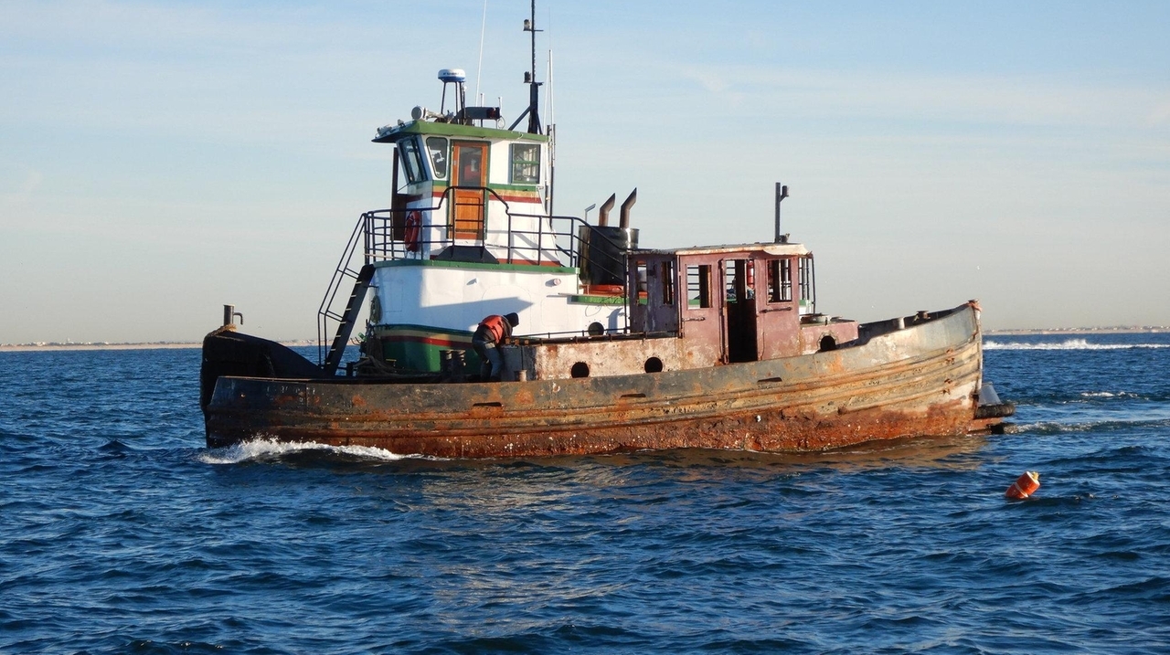 DEC: Sinking of two steel vessels to expand Long Island artificial ...