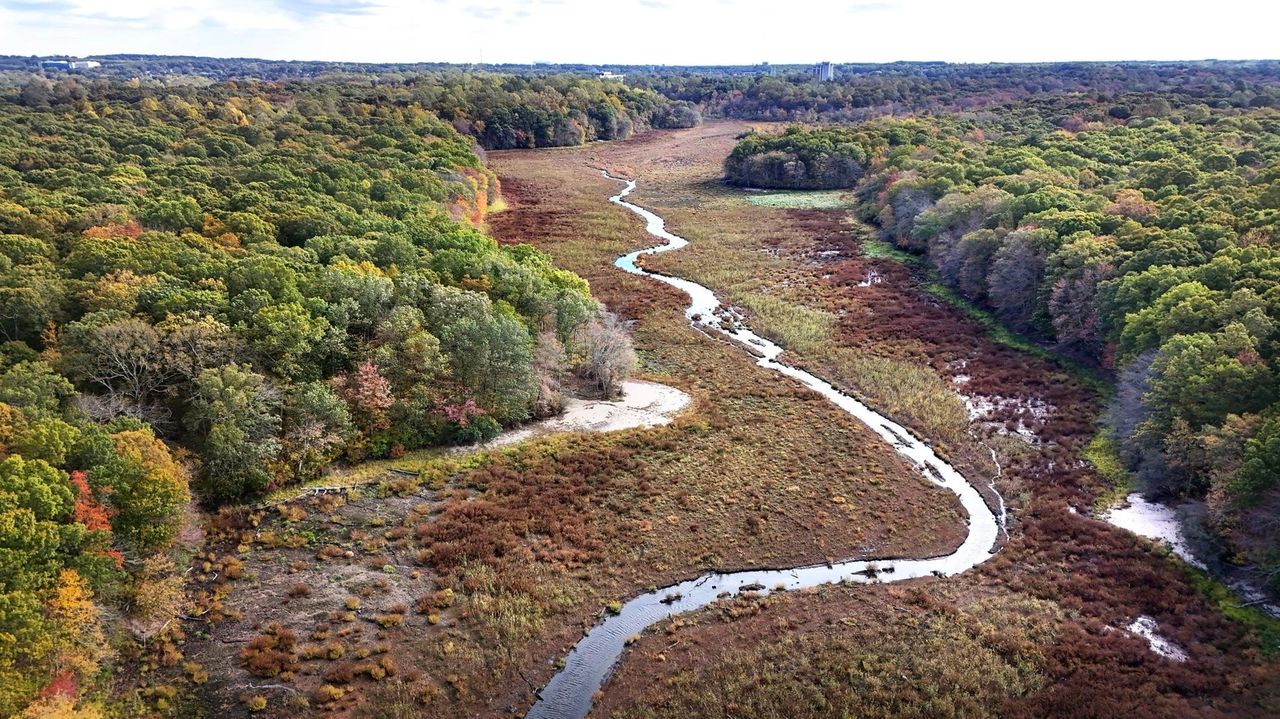 Blydenburgh Park dam rebuild can move ahead without environmental ...