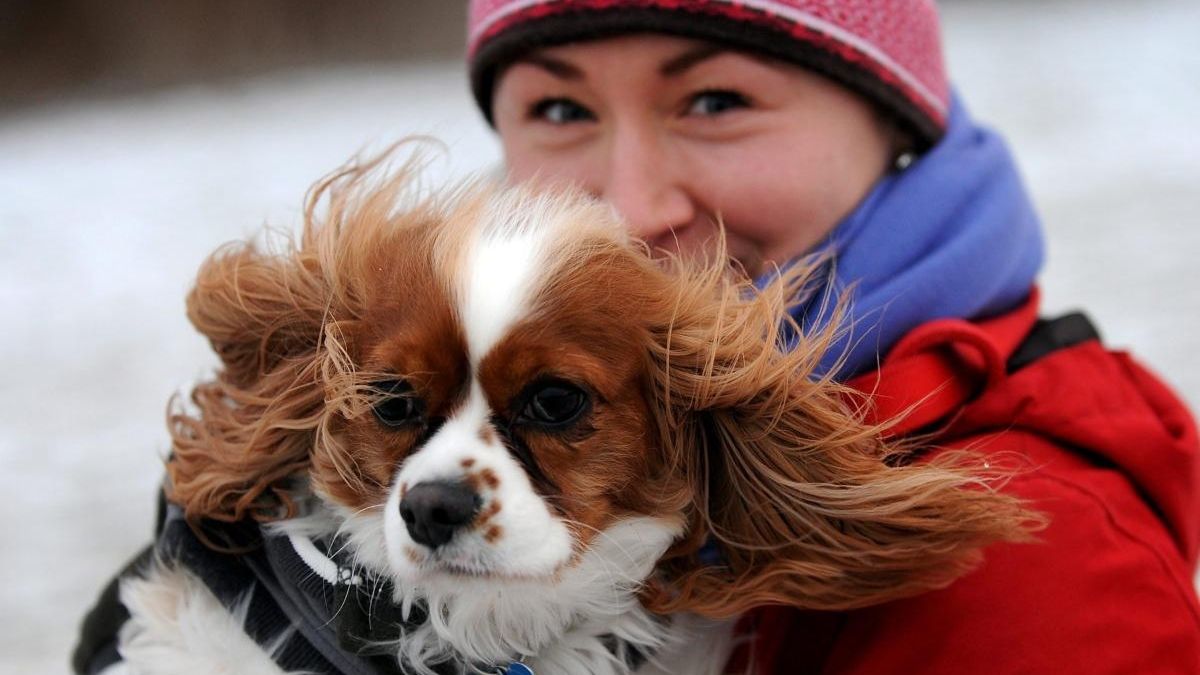 More teeth-chattering cold this weekend - Newsday