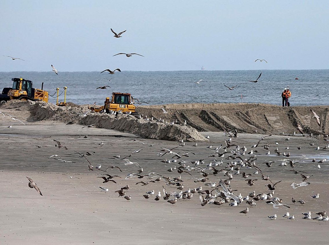 Dunes completed at Fire Island’s Smith Point County Park - Newsday
