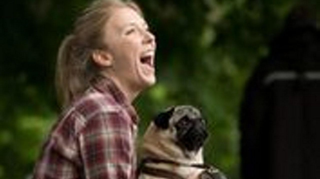 A pug stars in 'Patrick,' a movie about friendship - Newsday