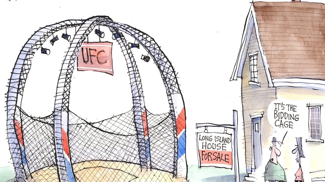 Matt Davies' June cartoons - Newsday