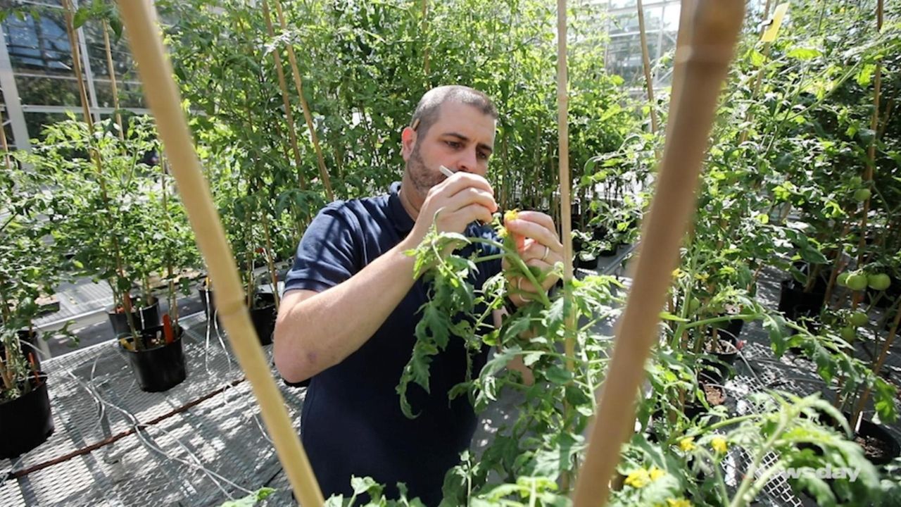 LIer a 2019 MacArthur 'genius' grant recipient - Newsday