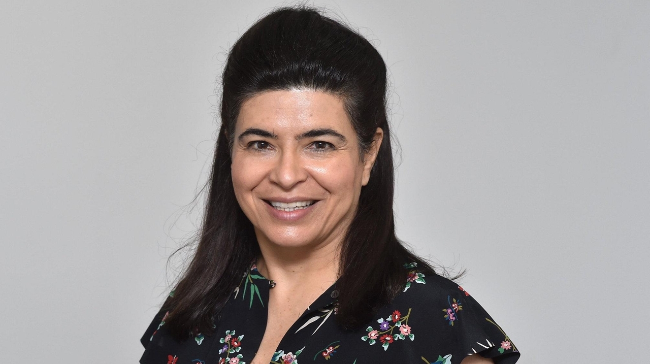 Anna Kaplan to represent New York's 7th Senate District - Newsday
