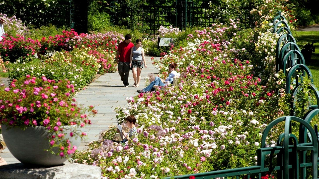 Fun things to do, see in the Bronx - Newsday