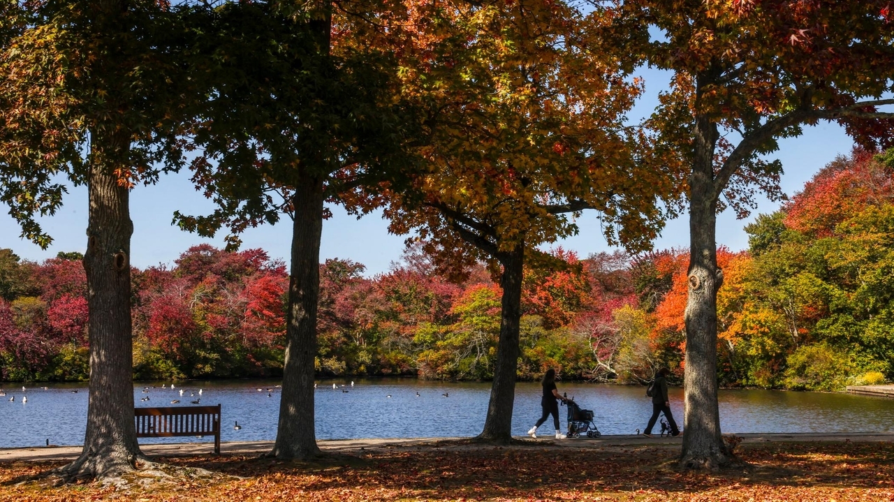Ultimate guide to Long Island's state parks: What to know before you go ...