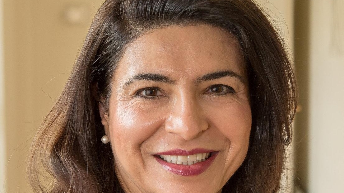 Anna Kaplan gets NOW endorsement in race for Congress - Newsday