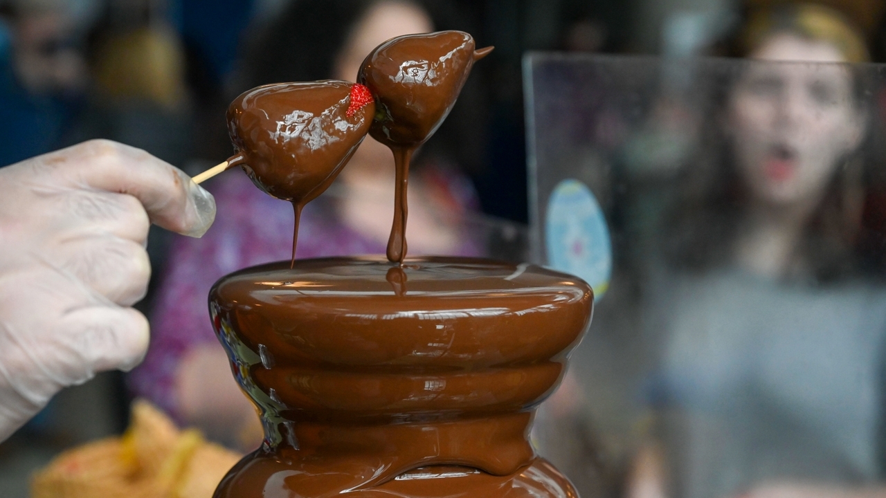 The Chocolate Expo returns to Long Island at Nassau Coliseum - Newsday