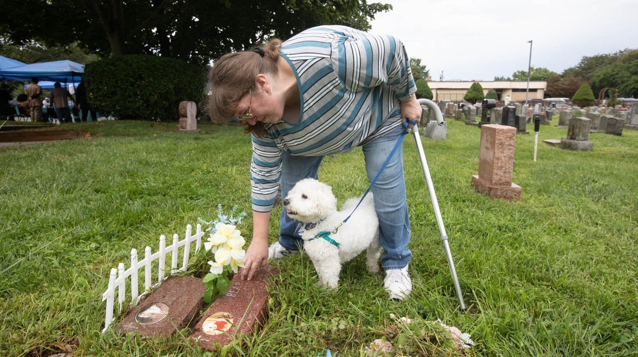 Bideawee Pet Memorial Park gives owners place of peace for their ...