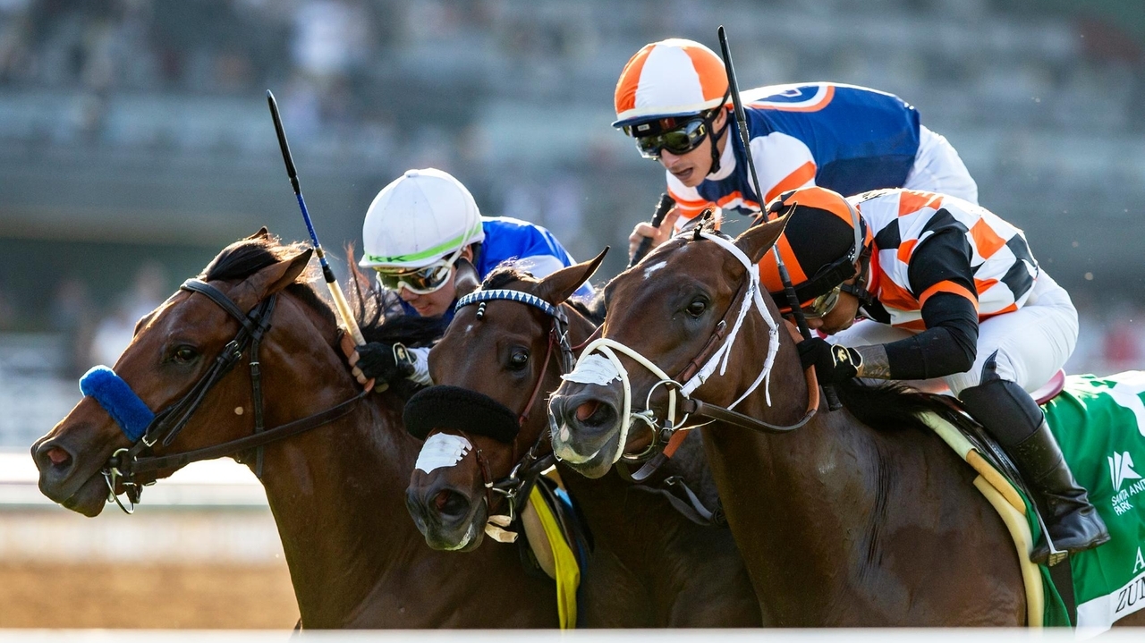 HISA, Jockeys' Guild partner with mental-health company to offer ...