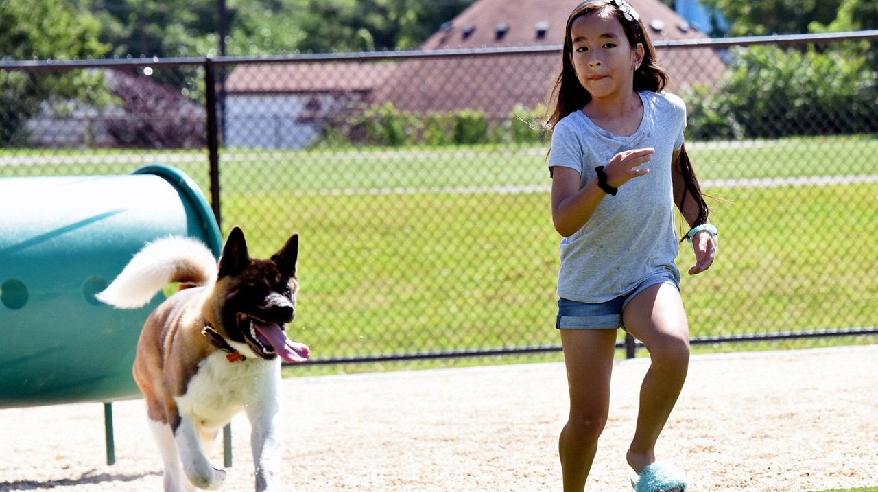 North Hempstead's first dog park opens to 'ruff' reviews - Newsday
