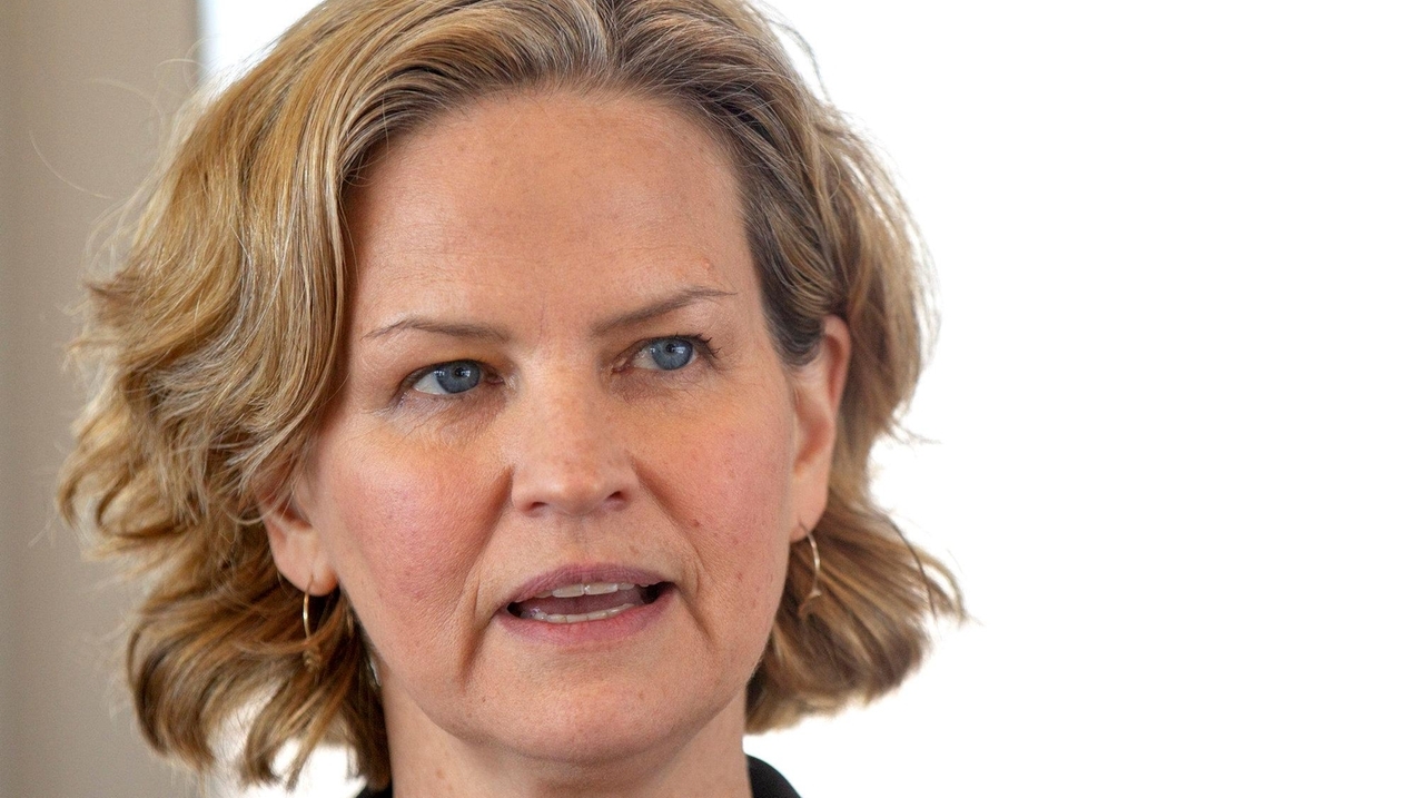 Laura Curran lawsuit generated nearly $60,000 in legal bills - Newsday