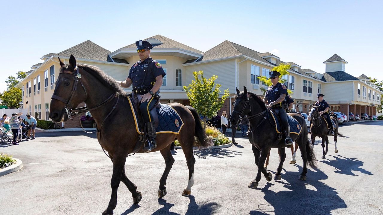 Suffolk sheriff mulls mounted unit with horsepower - Newsday