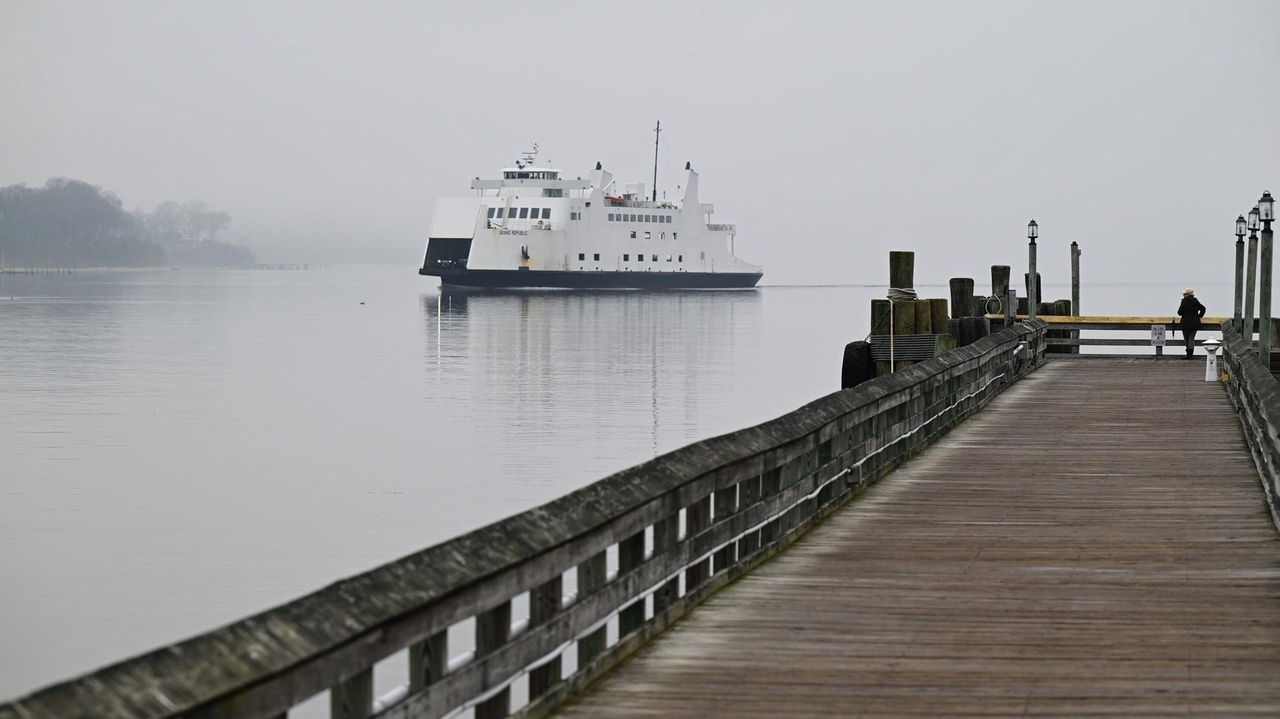 Port Jefferson Harbor contaminated with partially-treated sewage ...