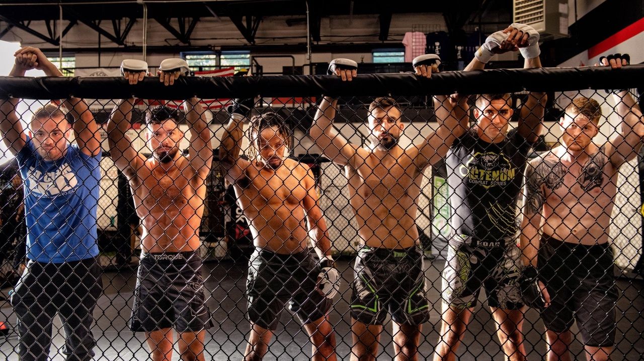 Long Island's next wave of MMA fighters - Newsday