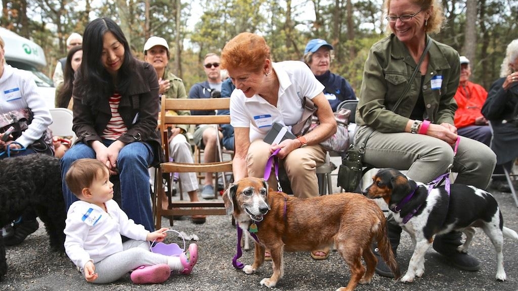 Animal Rescue Fund of the Hamptons holding 40th anniversary celebration ...