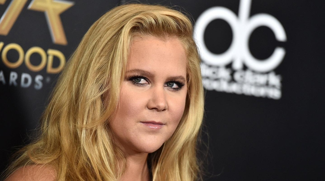 Amy Schumer buys back family farm as gift for her father - Newsday
