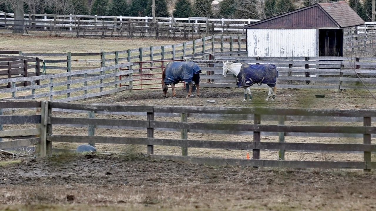 Barn at Old Westbury Equestrian Center, worker apartments closed down ...