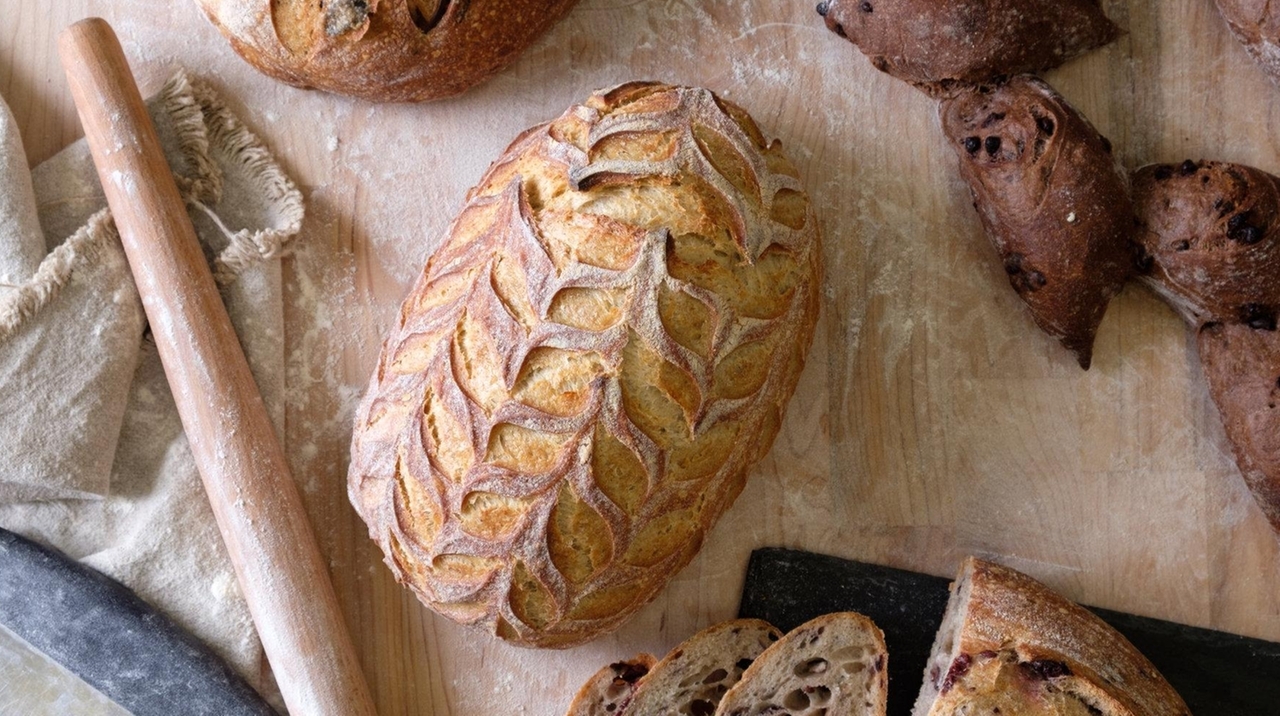 Rockville Centre's Flour Shoppe Cafe opens 2nd location, in Massapequa ...