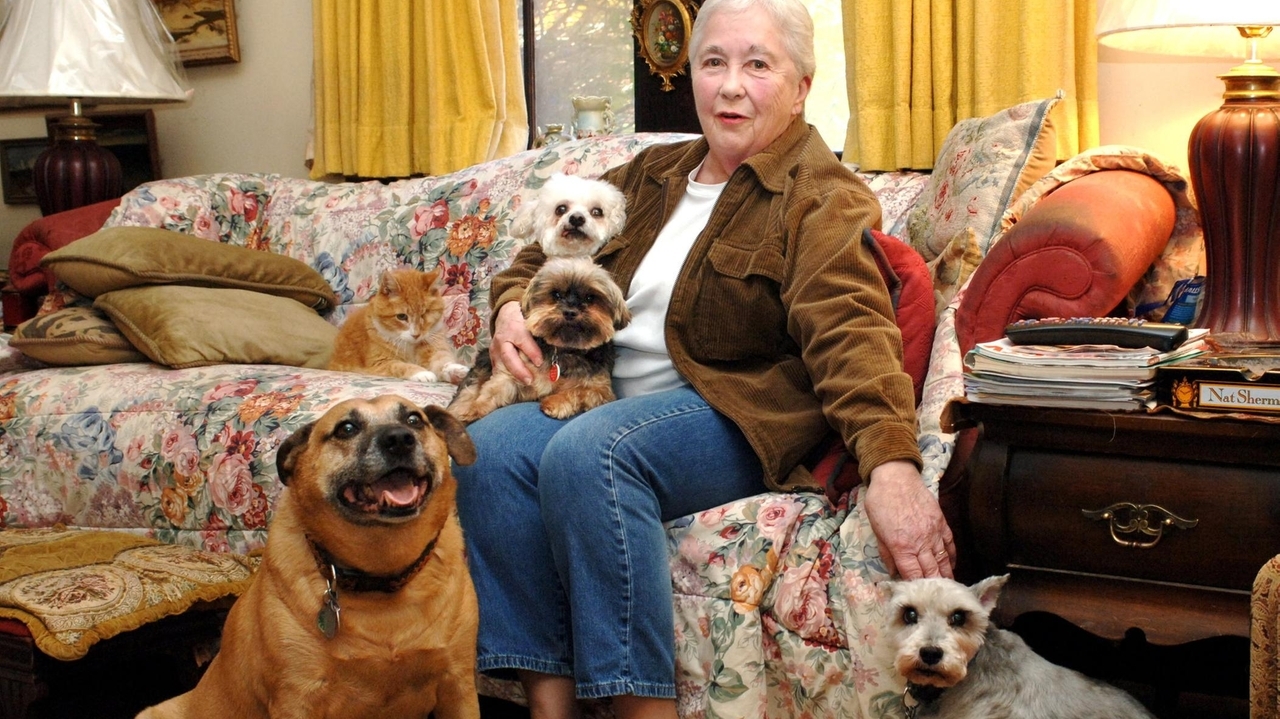 Janet Brasco, 'rescue warrior' who helped found 2 Long Island animal ...