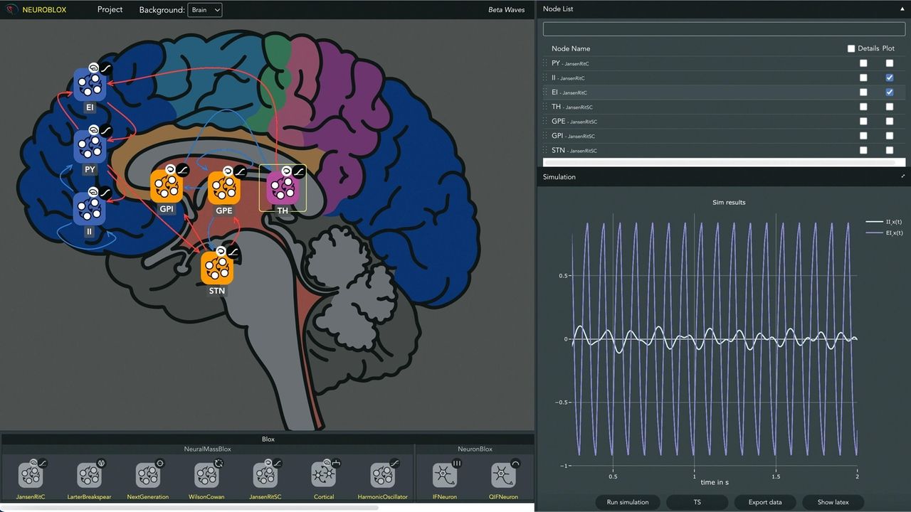 Stony Brook University neuroscience software wins funding from CEO of ...