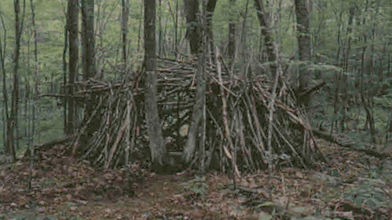 How I made my own fort in the woods - Newsday