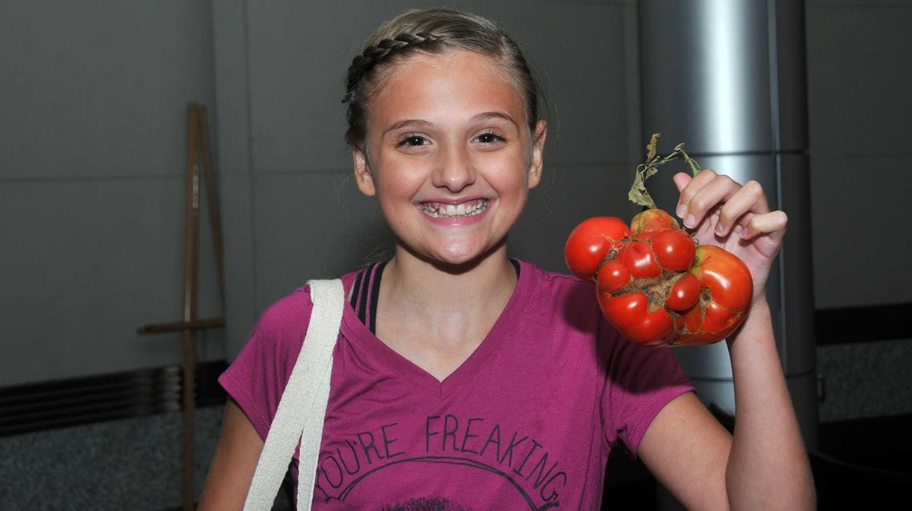 The 2015 Great Long Island Tomato Challenge - Newsday