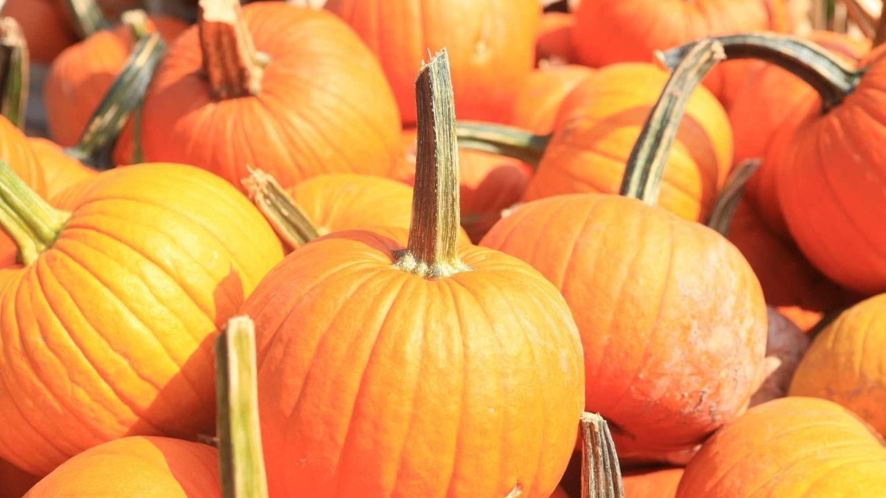 Pumpkin carving safety tips for kids - Newsday