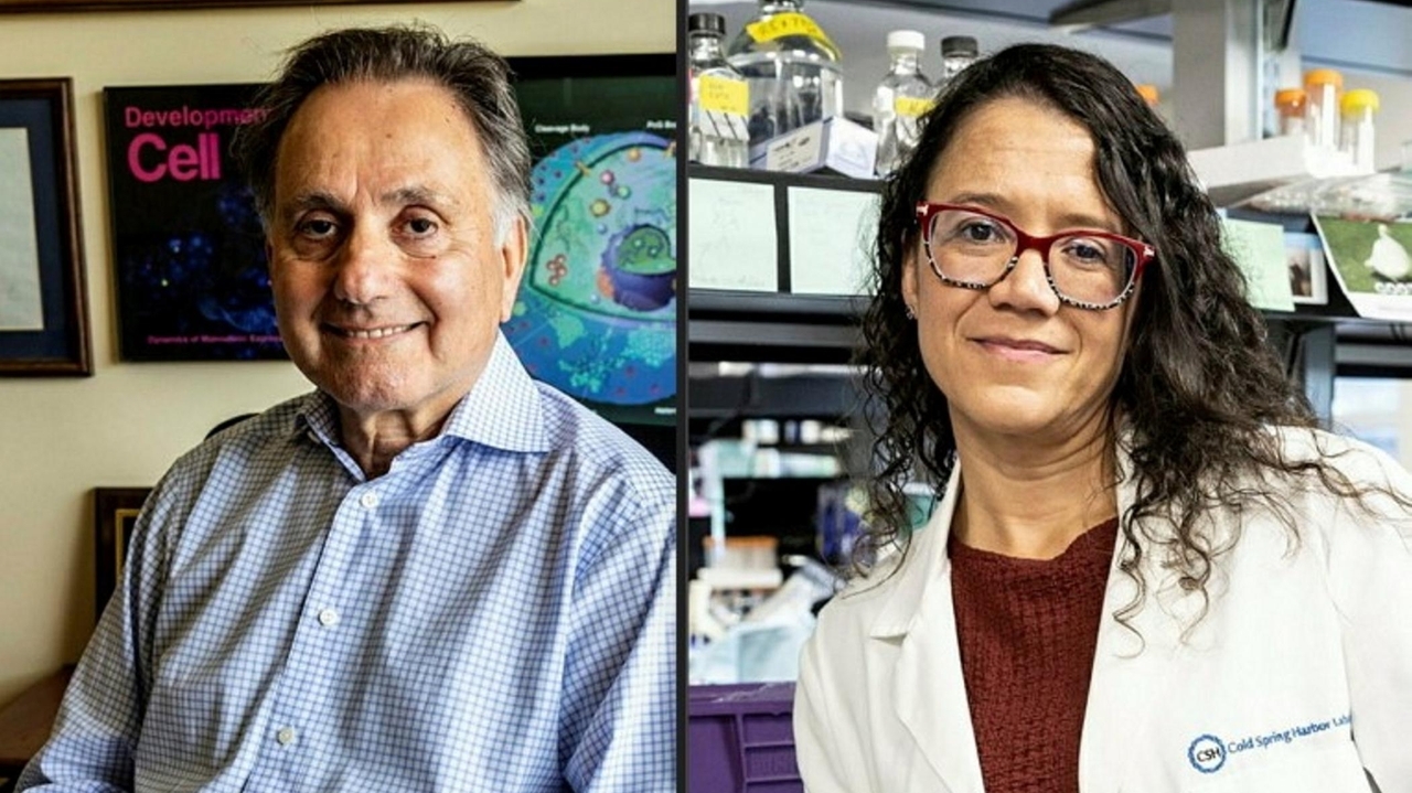 Breast cancer research advancing at Cold Spring Harbor Laboratory - Newsday