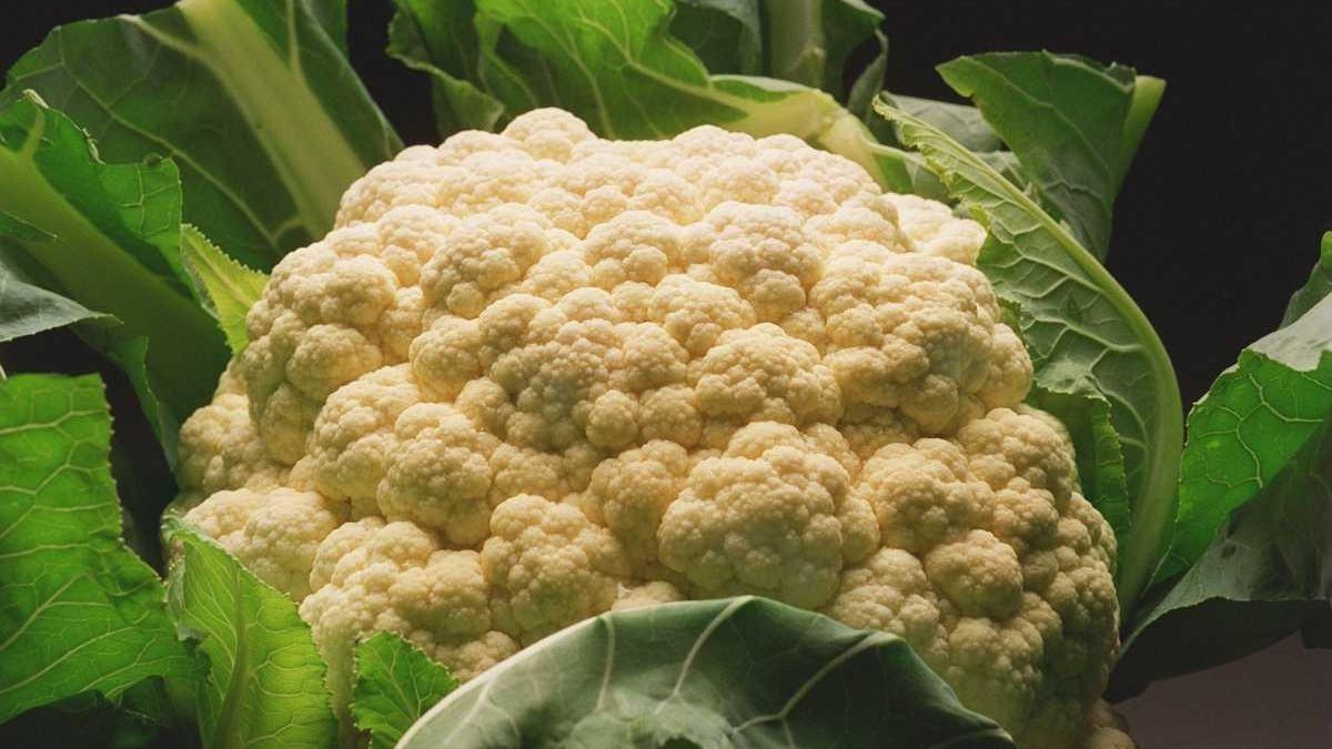 Cauliflower, once king, still is LI royalty - Newsday