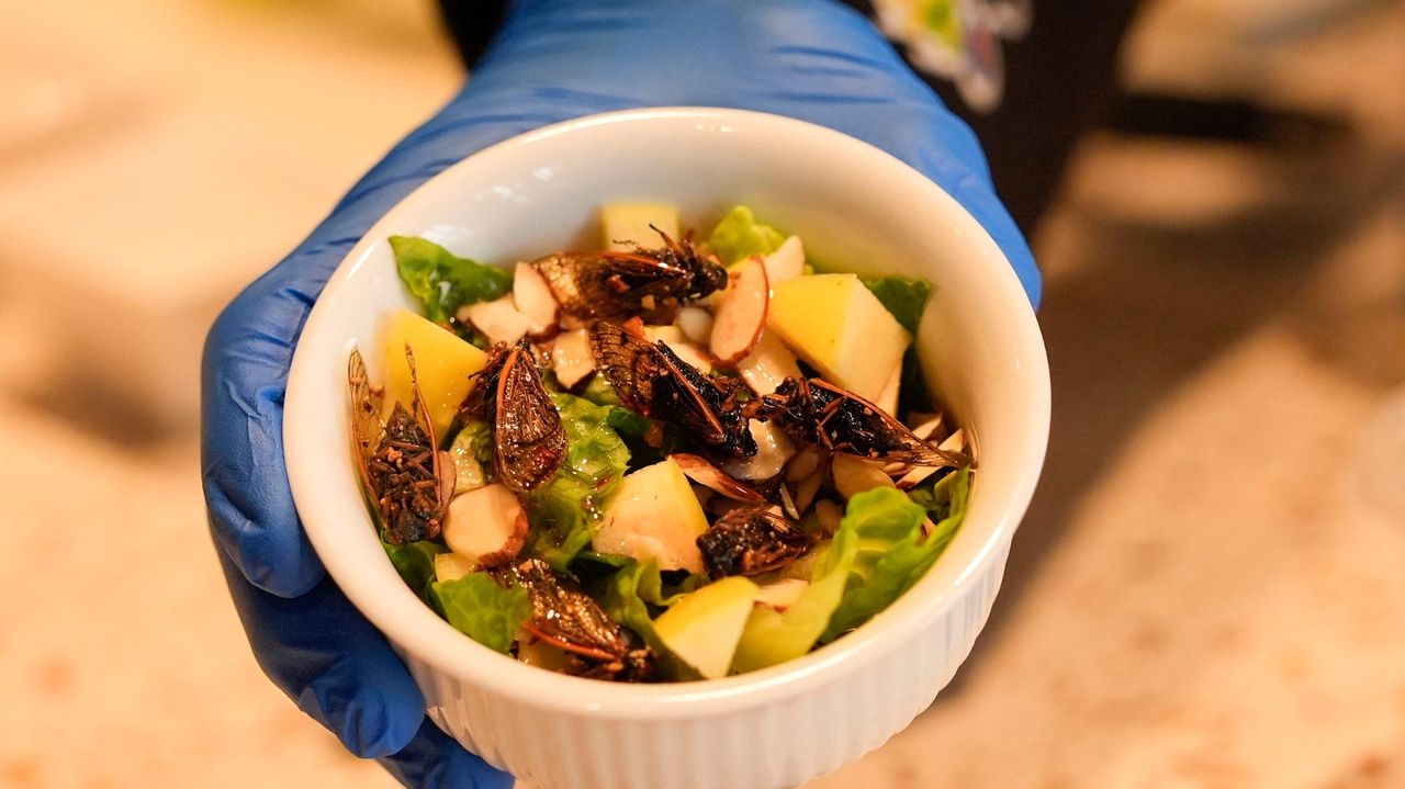 Would you like a cicada salad? The monstrous little noisemakers descend ...