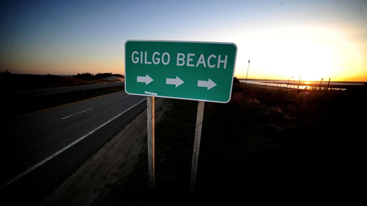 Gilgo Beach killings: Ruling reinstating use of genetic familial ...