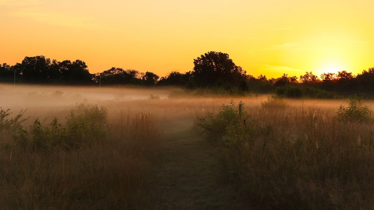 Book on the Hempstead Plains weaves history, nature - Newsday