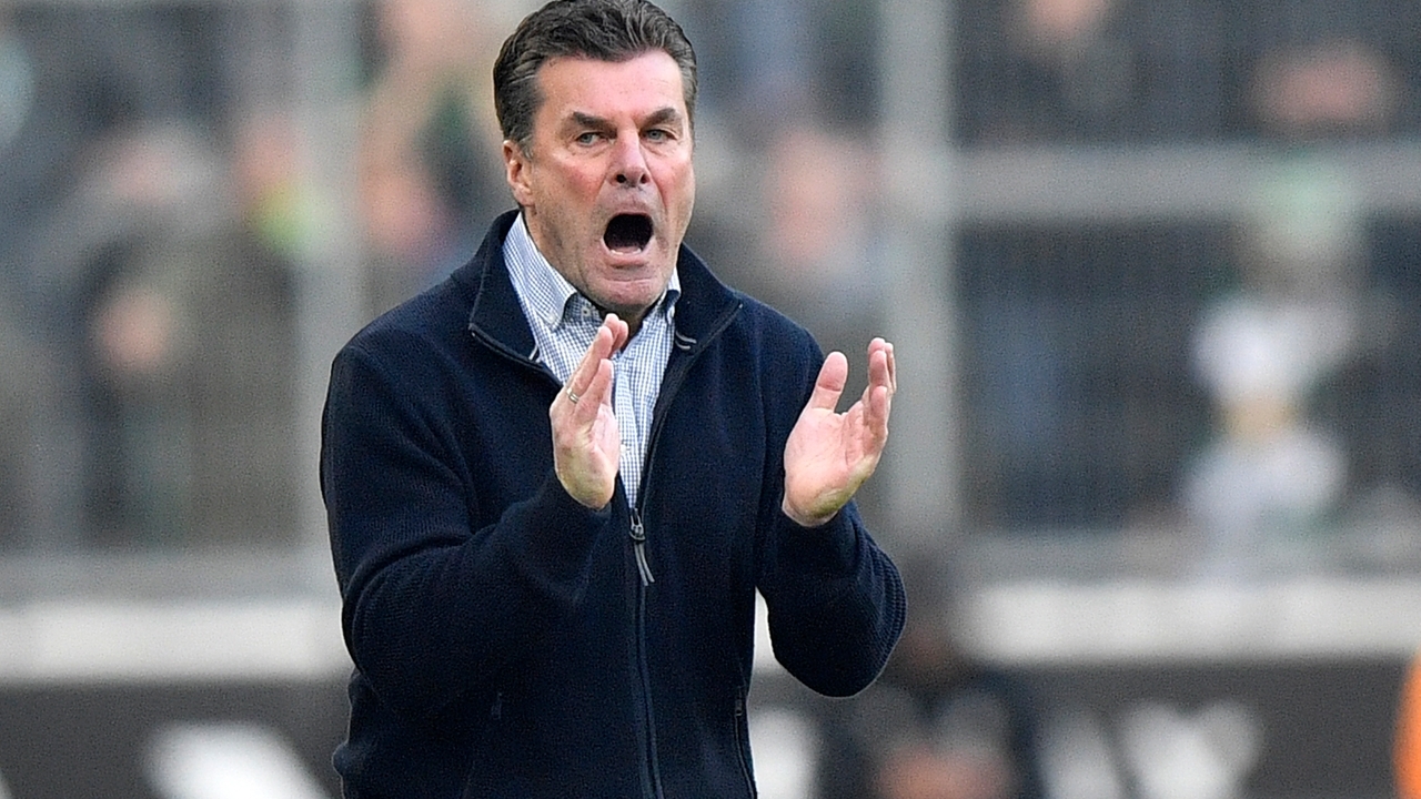 Last-place Bundesliga club Bochum picks veteran coach Dieter Hecking ...