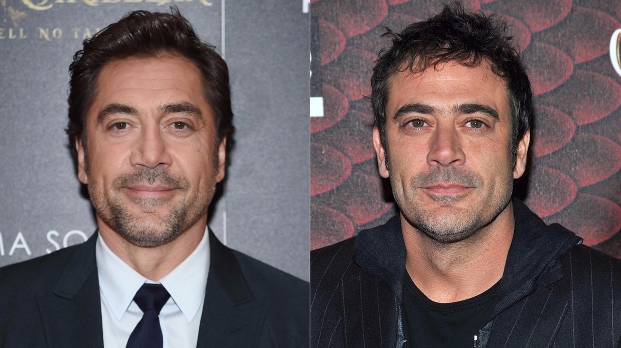 Celeb lookalikes: Can you tell who's who? - Newsday