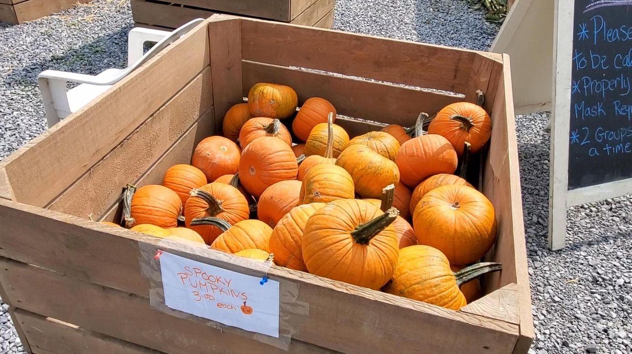 East End farms, vineyards lobby to ease overtime rule for workers - Newsday