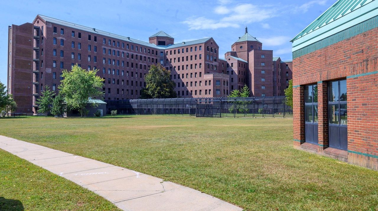Experts: Psychiatric hospital patients vulnerable amid pandemic - Newsday